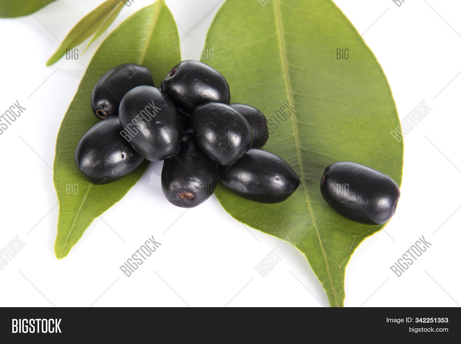 Jambolan Plum Java Image & Photo (Free Trial) | Bigstock