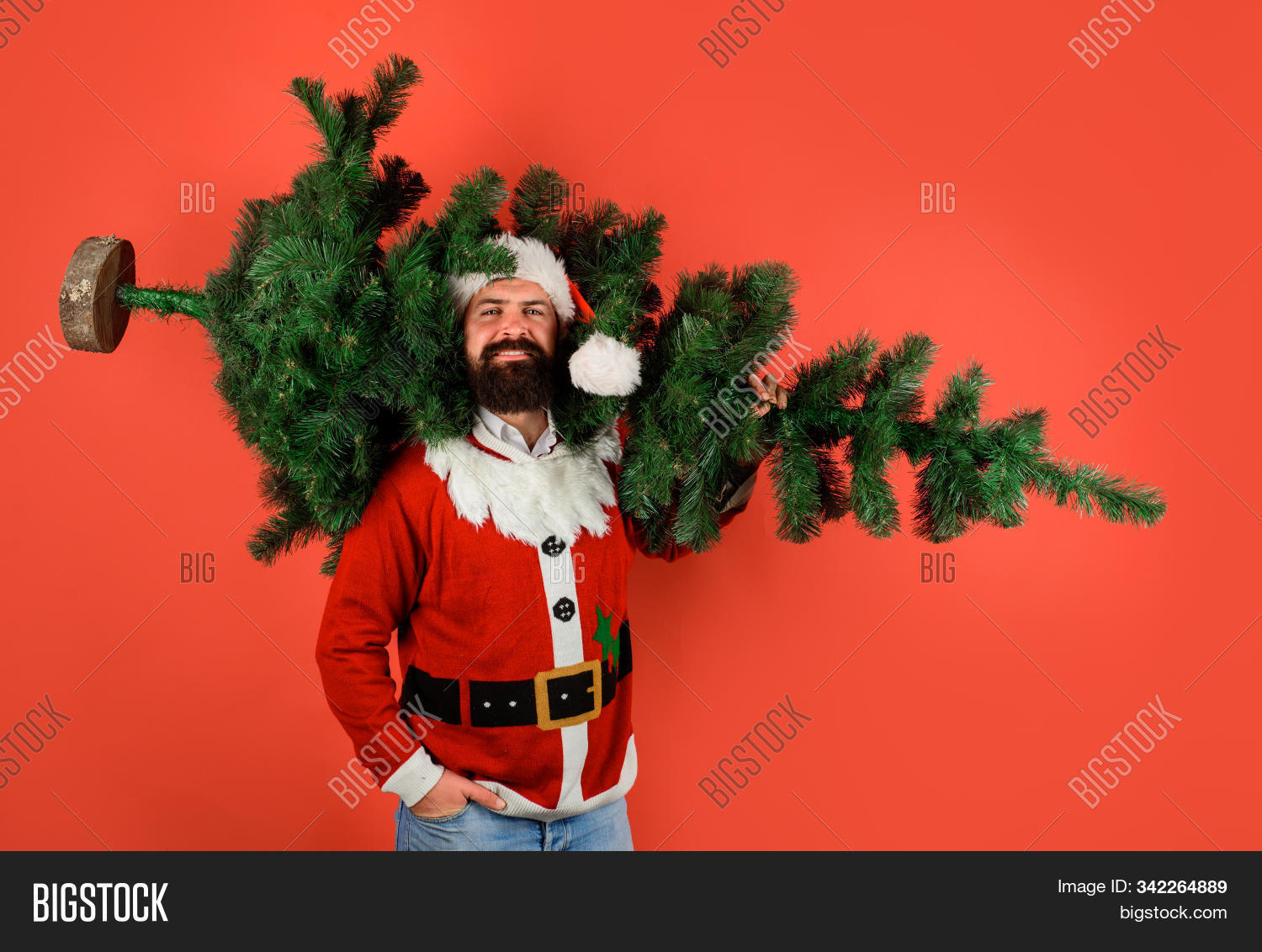Santa Pine Tree. Santa Image & Photo (Free Trial) | Bigstock