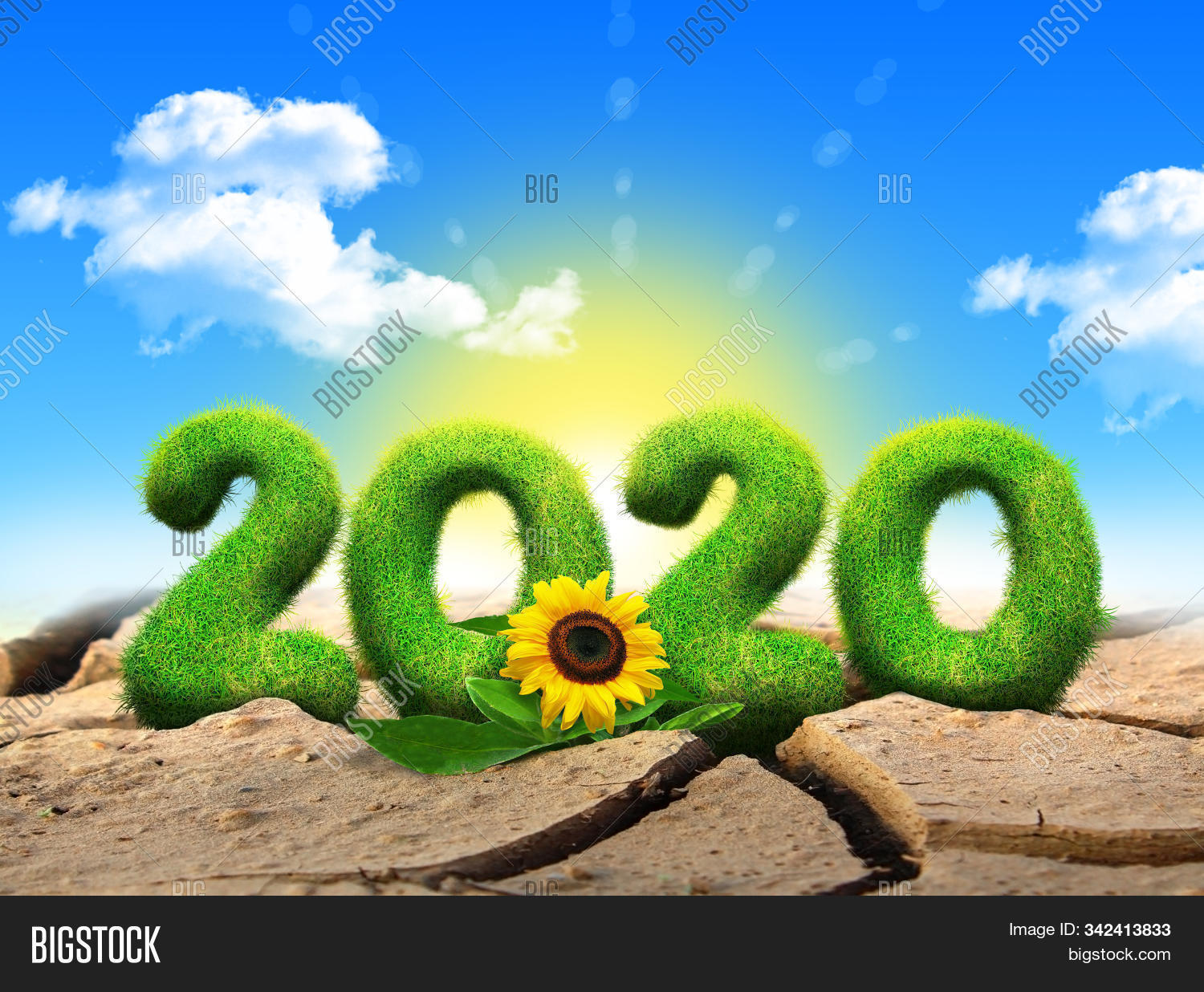 2020 Form Grass Image & Photo (Free Trial) | Bigstock