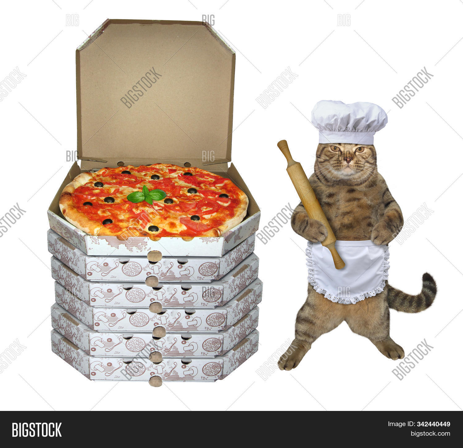 Cat Baker Chef Hat Image & Photo (Free Trial) | Bigstock