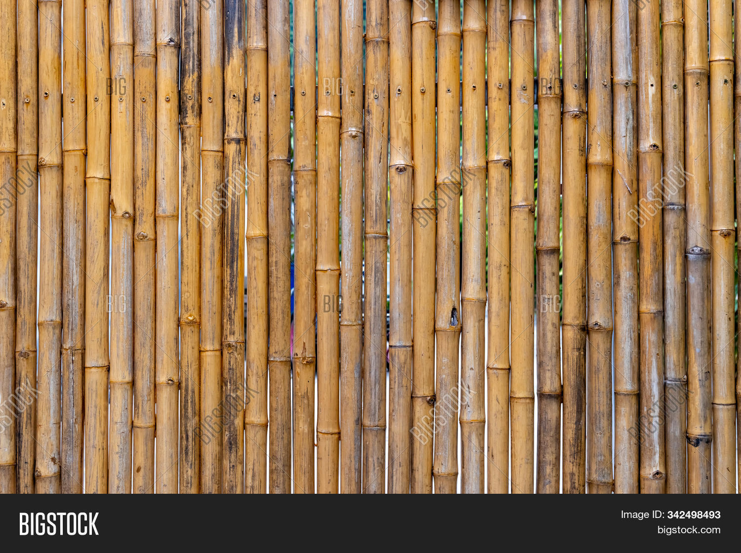 Bamboo Stick Image & Photo (Free Trial) | Bigstock