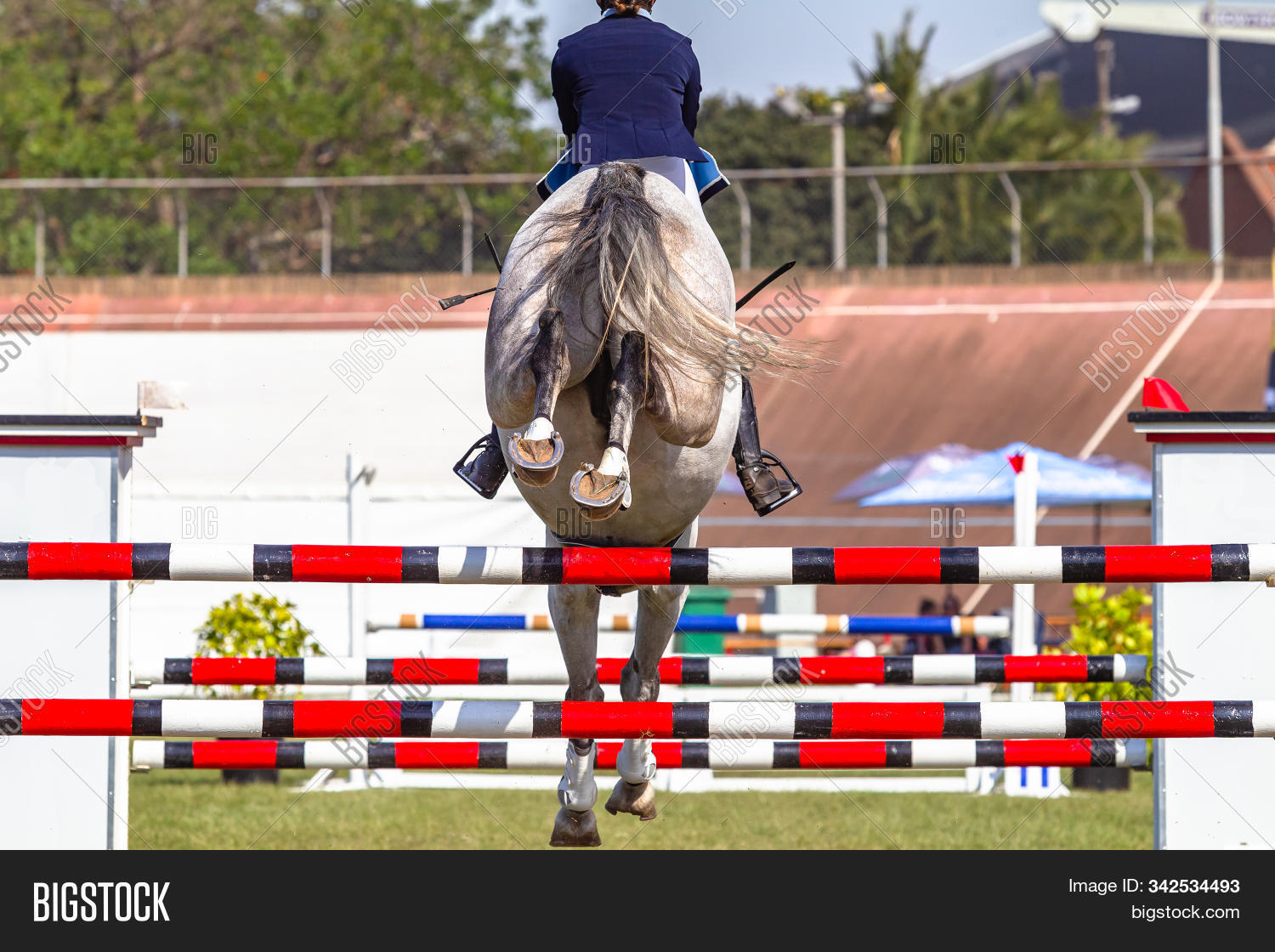 Horse Hoofs Rider Jump Image & Photo (Free Trial) | Bigstock