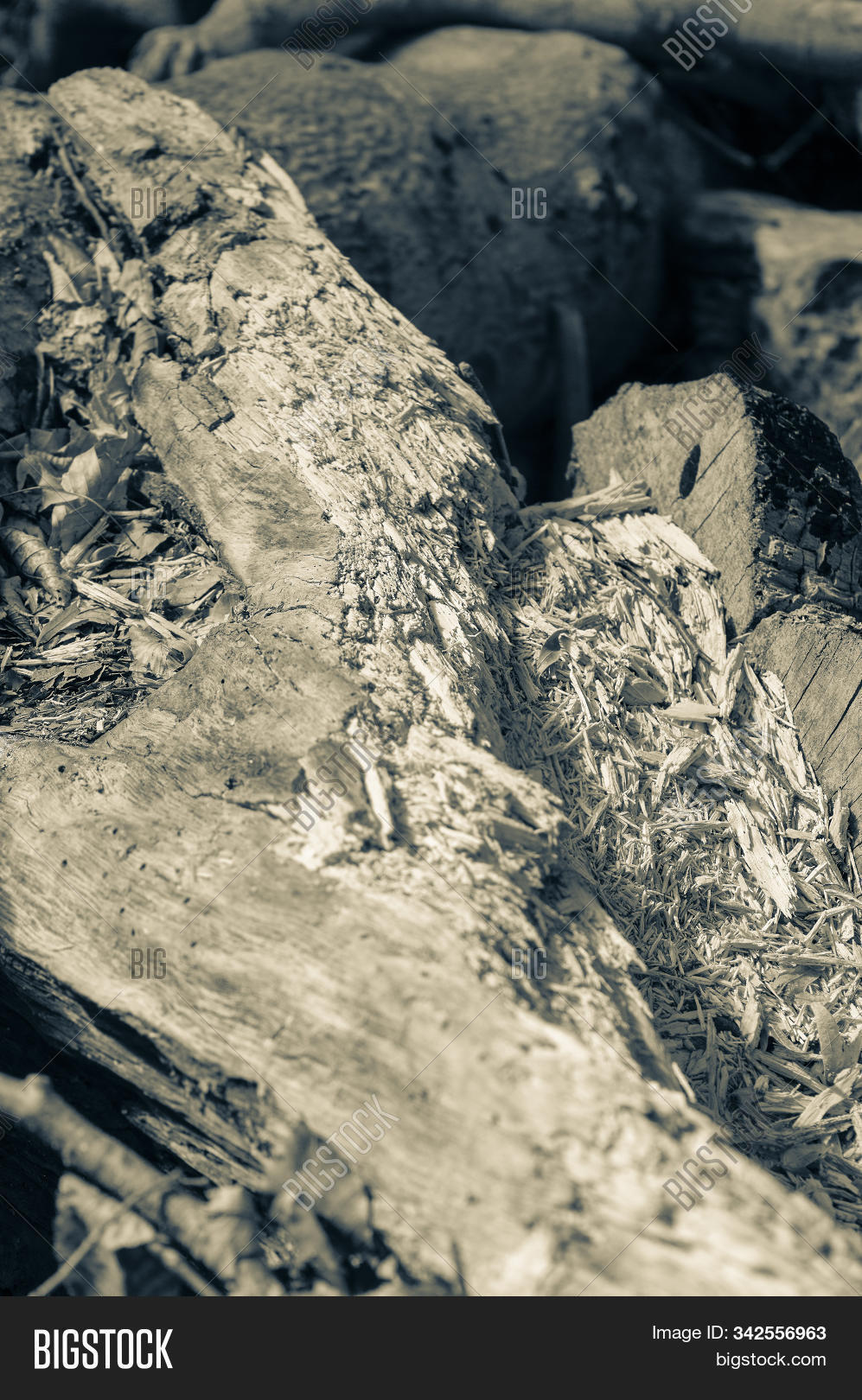 Texture Old Rotten Image & Photo (Free Trial) | Bigstock