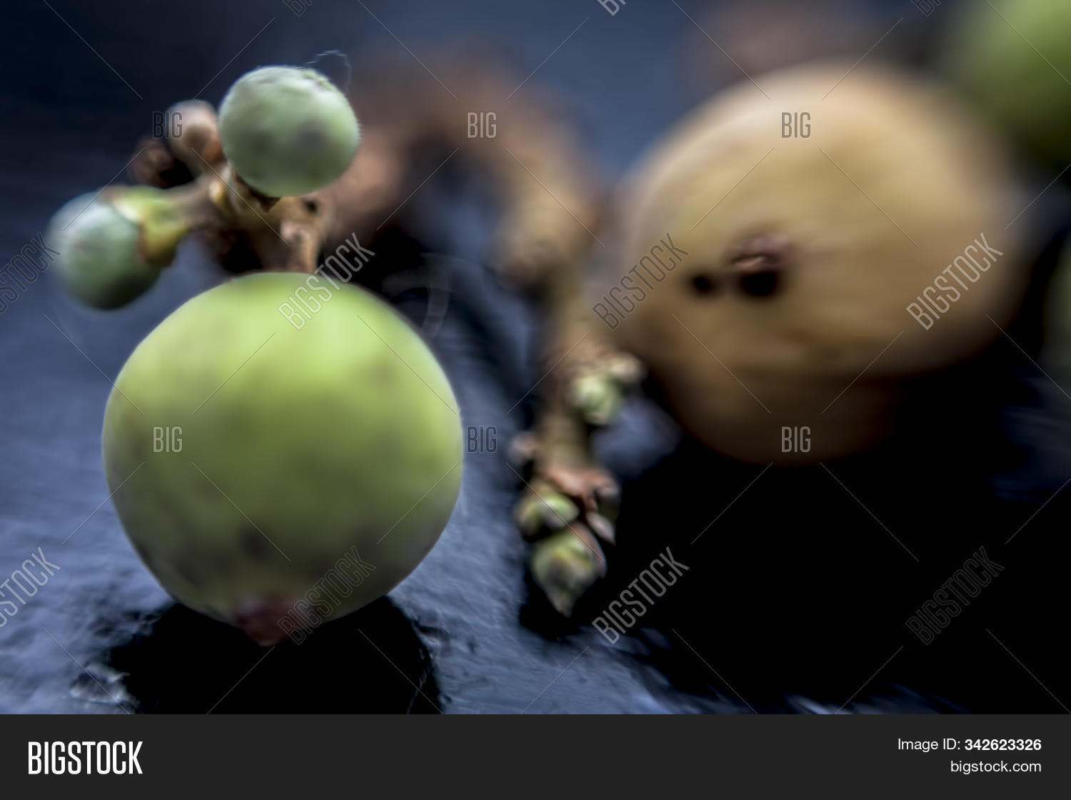 Macro Shot Raw Ripe Image & Photo (Free Trial) | Bigstock