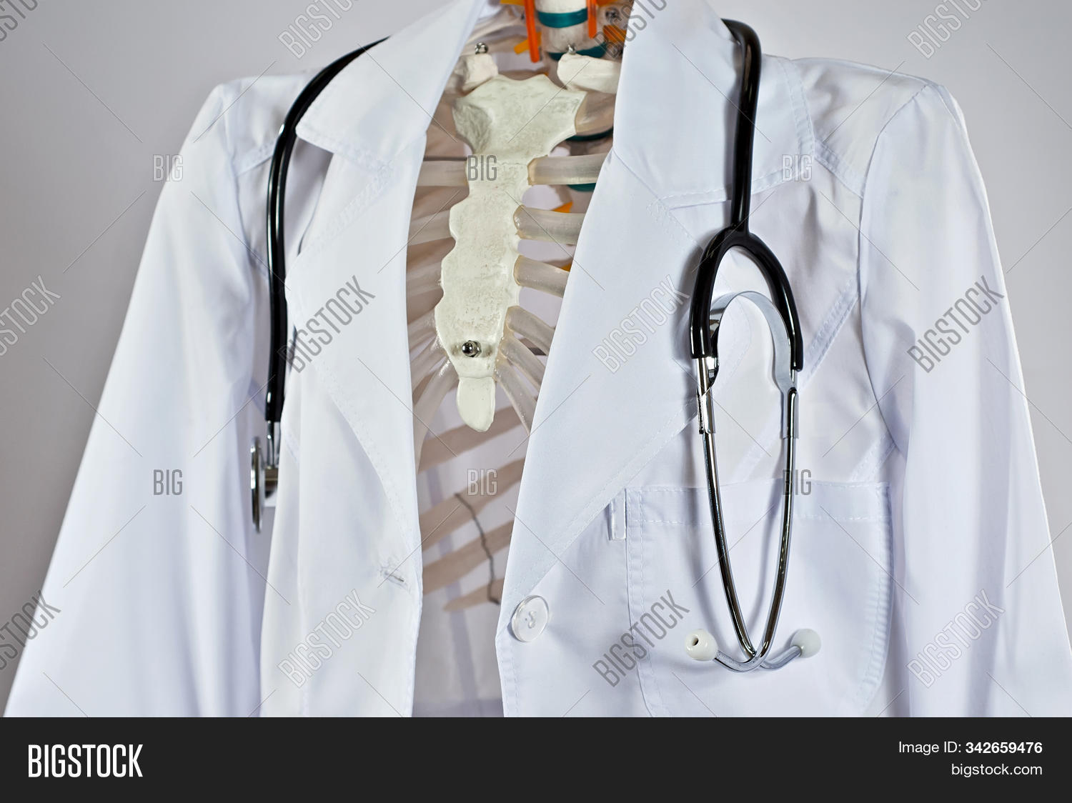 Mockup Human Skeleton Image & Photo (Free Trial) | Bigstock