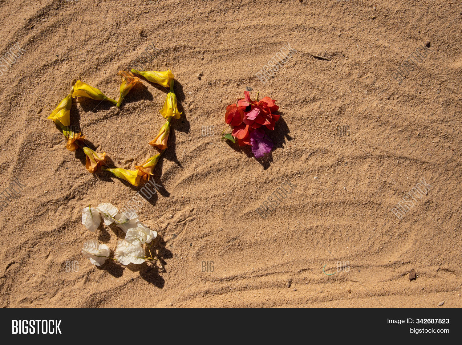 Flowers Laid Out Shape Image & Photo (Free Trial) | Bigstock