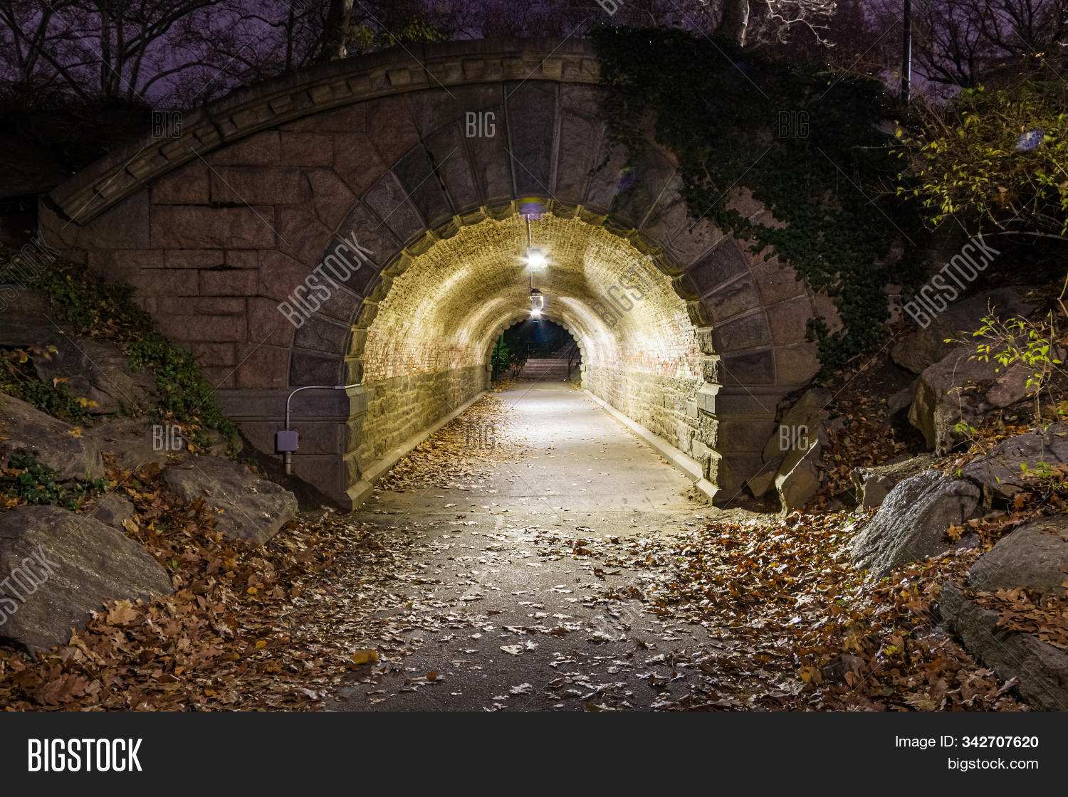 Nighttime Image Image & Photo (Free Trial) | Bigstock