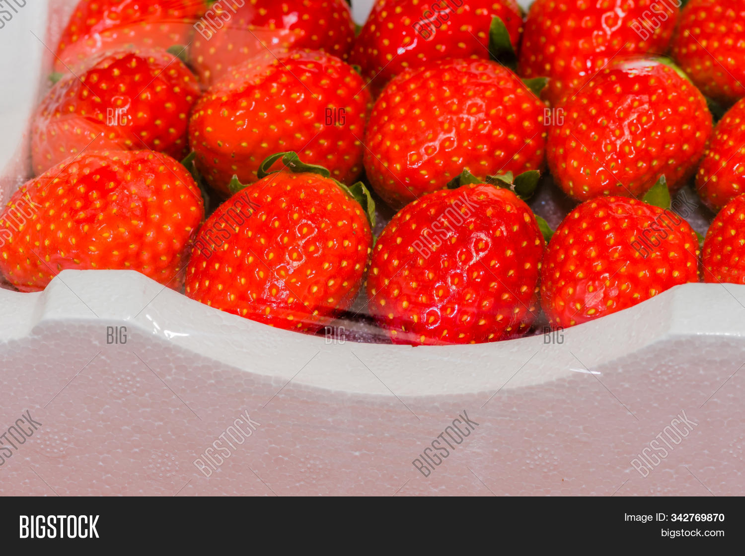 Strawberries Styrofoam Image & Photo (Free Trial) | Bigstock