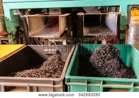 Black Tea Bulk On Image & Photo (Free Trial) | Bigstock