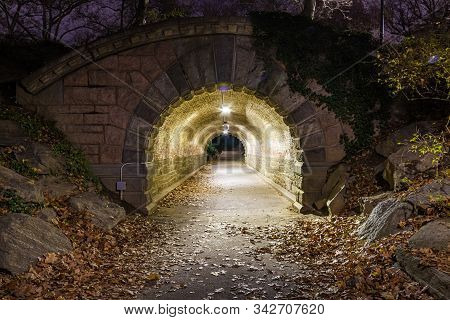 Nighttime Image Image & Photo (Free Trial) | Bigstock