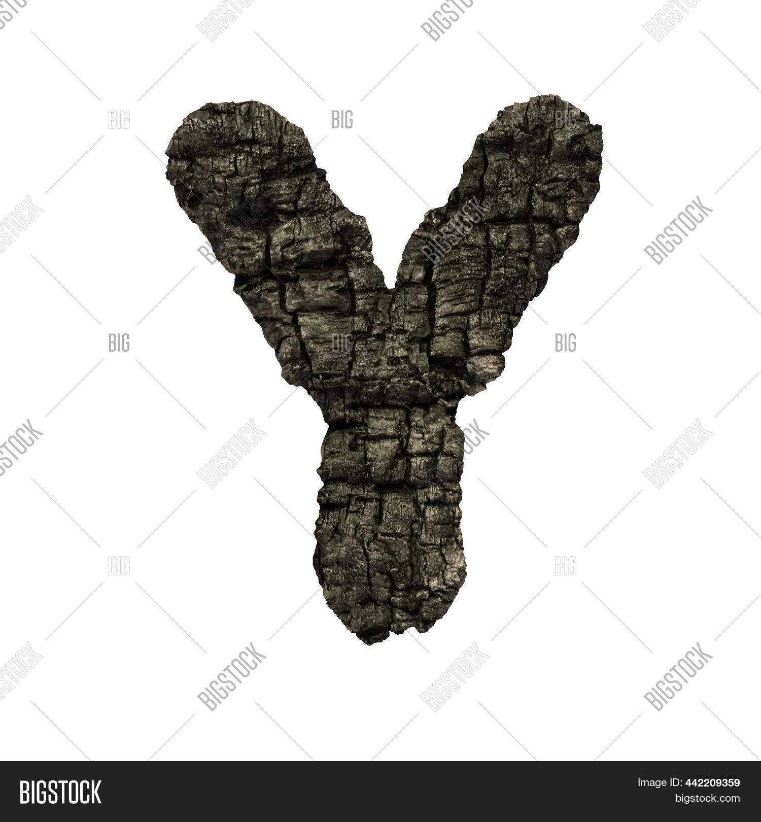 Burned Wood Letter Y Image & Photo (Free Trial) | Bigstock
