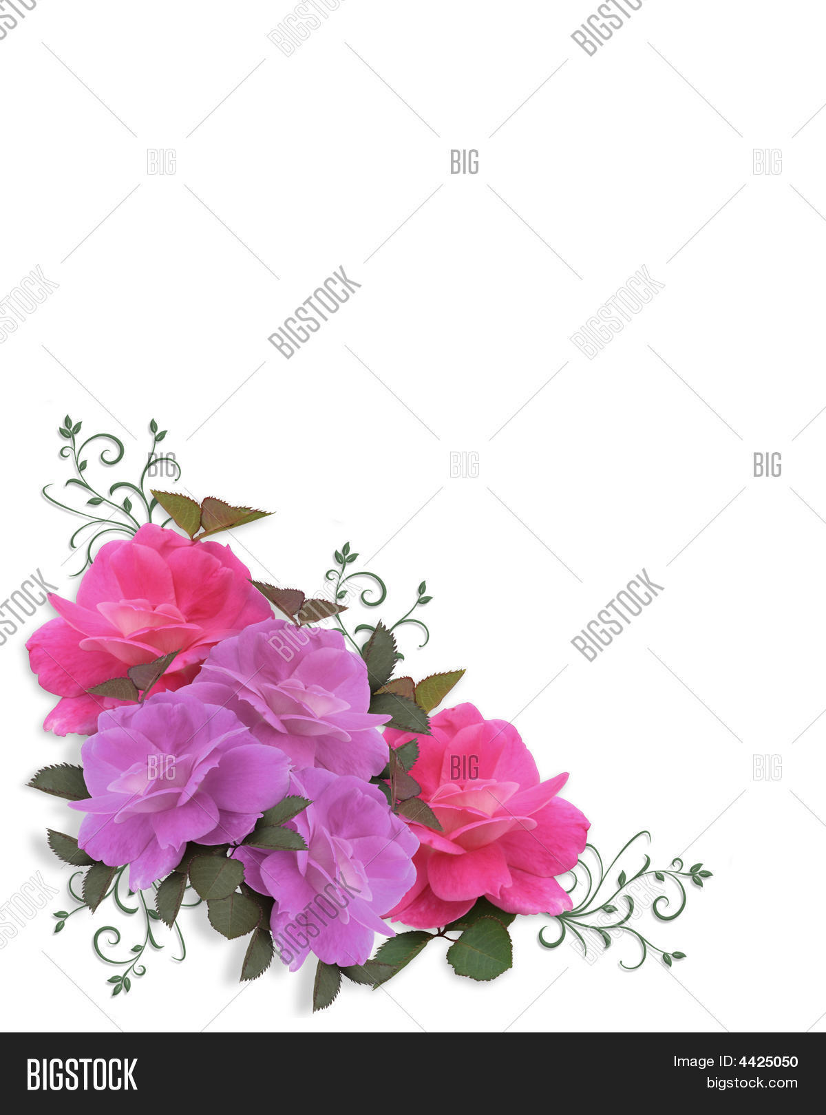 Roses Corner Design Image & Photo (Free Trial) | Bigstock