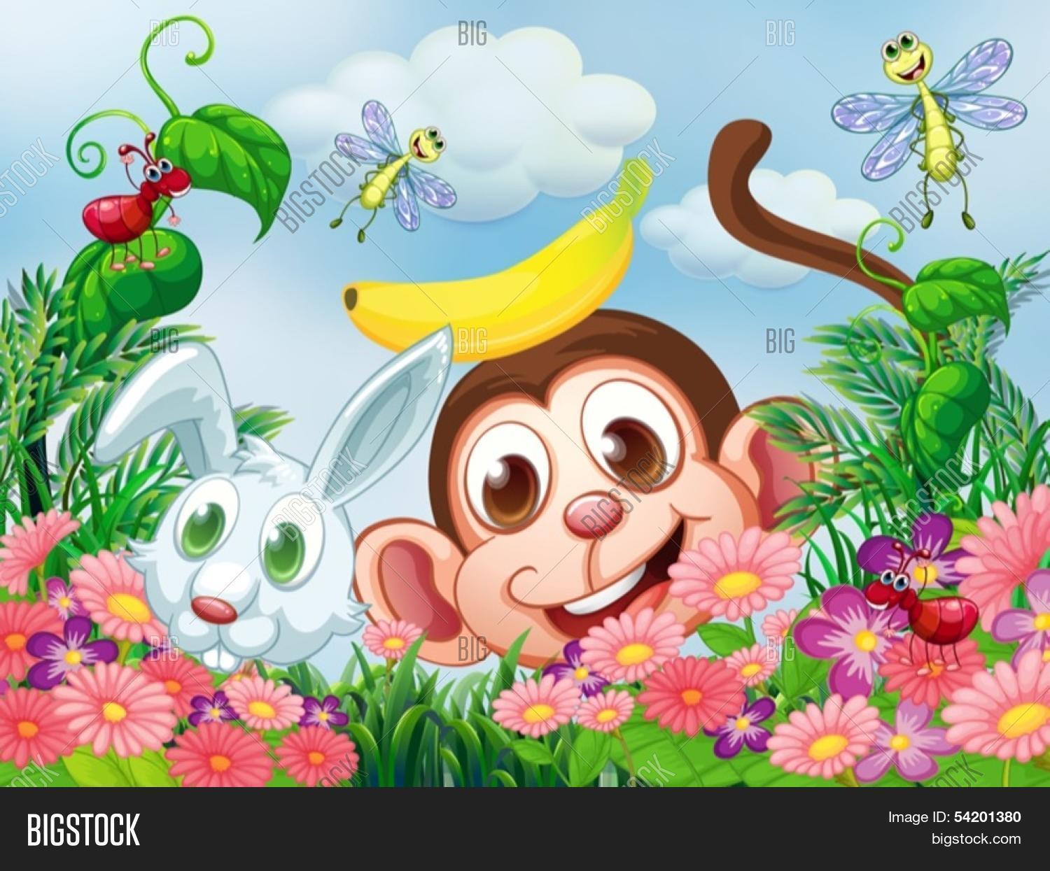 Illustration Monkey Vector & Photo (Free Trial) | Bigstock