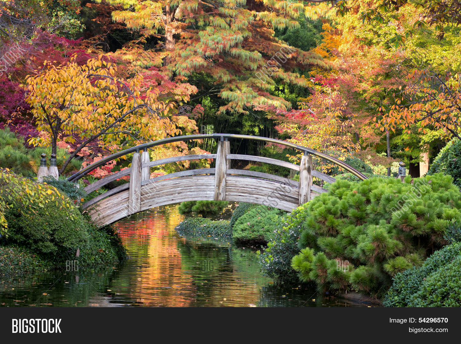 Bridge Over Calm Image & Photo (Free Trial) | Bigstock