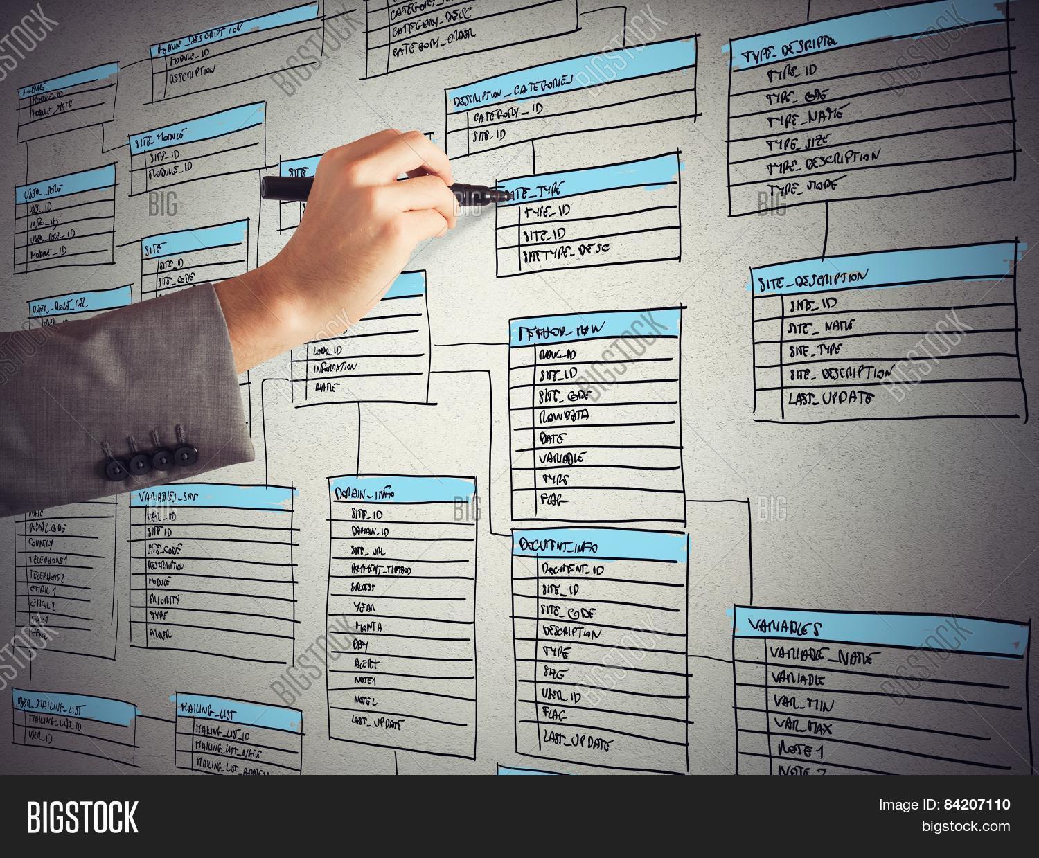 Organize Database Image & Photo (Free Trial) | Bigstock