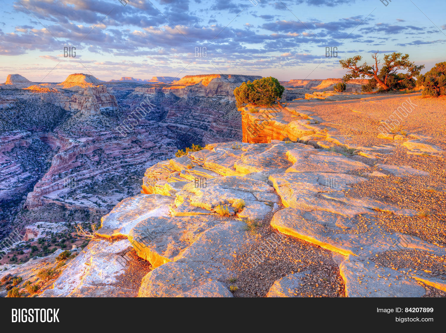 Wedge Image & Photo (Free Trial) | Bigstock