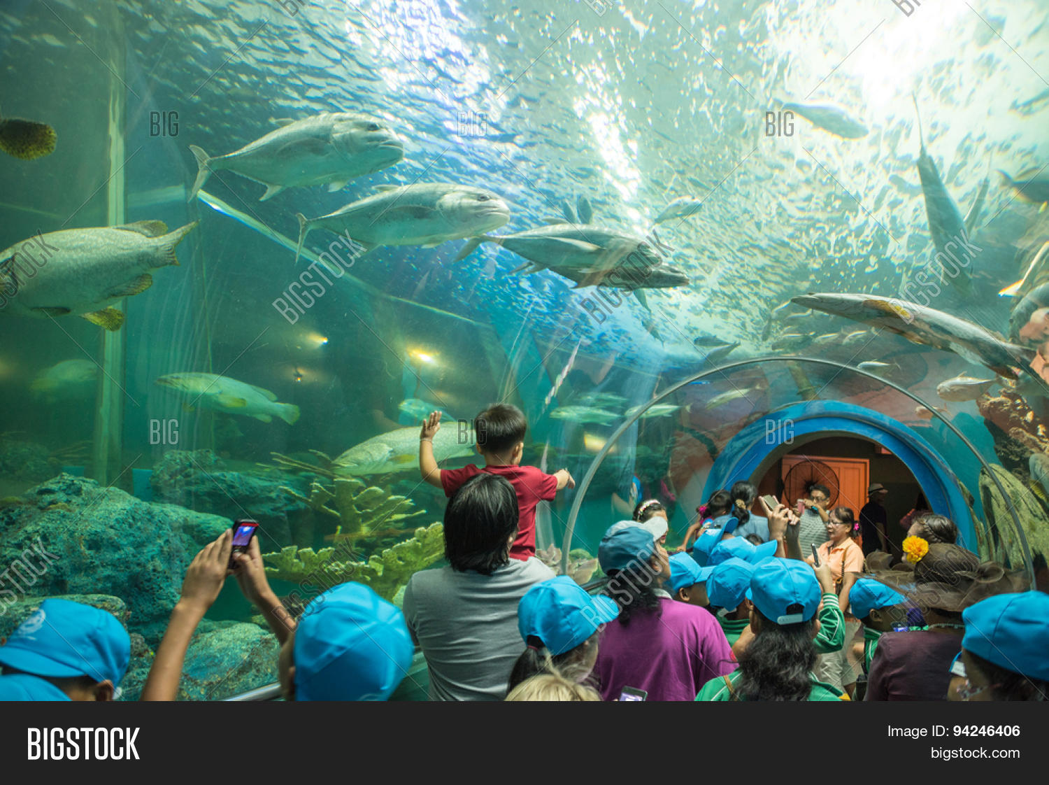 Rayong, THAILAND - Image & Photo (Free Trial) | Bigstock