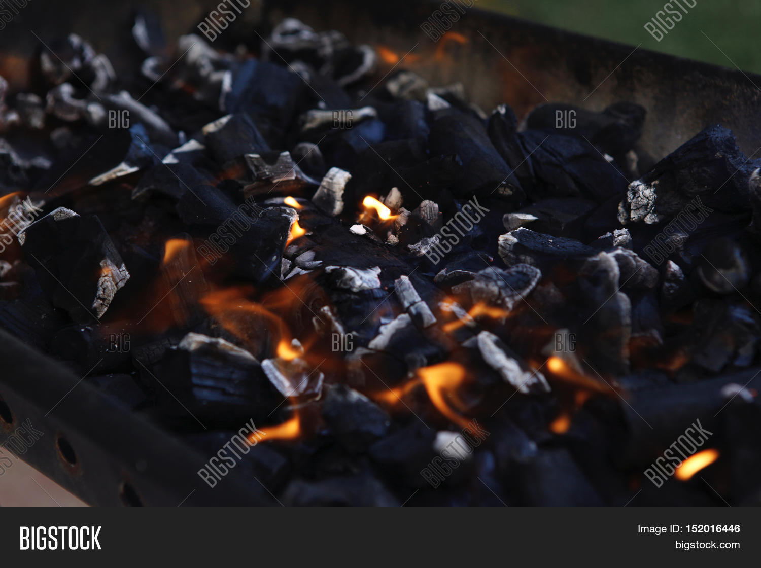Black Burned Charcoal Image & Photo (Free Trial) | Bigstock