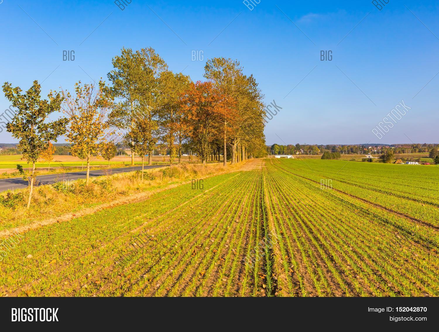 Polish Rural Landscape Image & Photo (Free Trial) | Bigstock