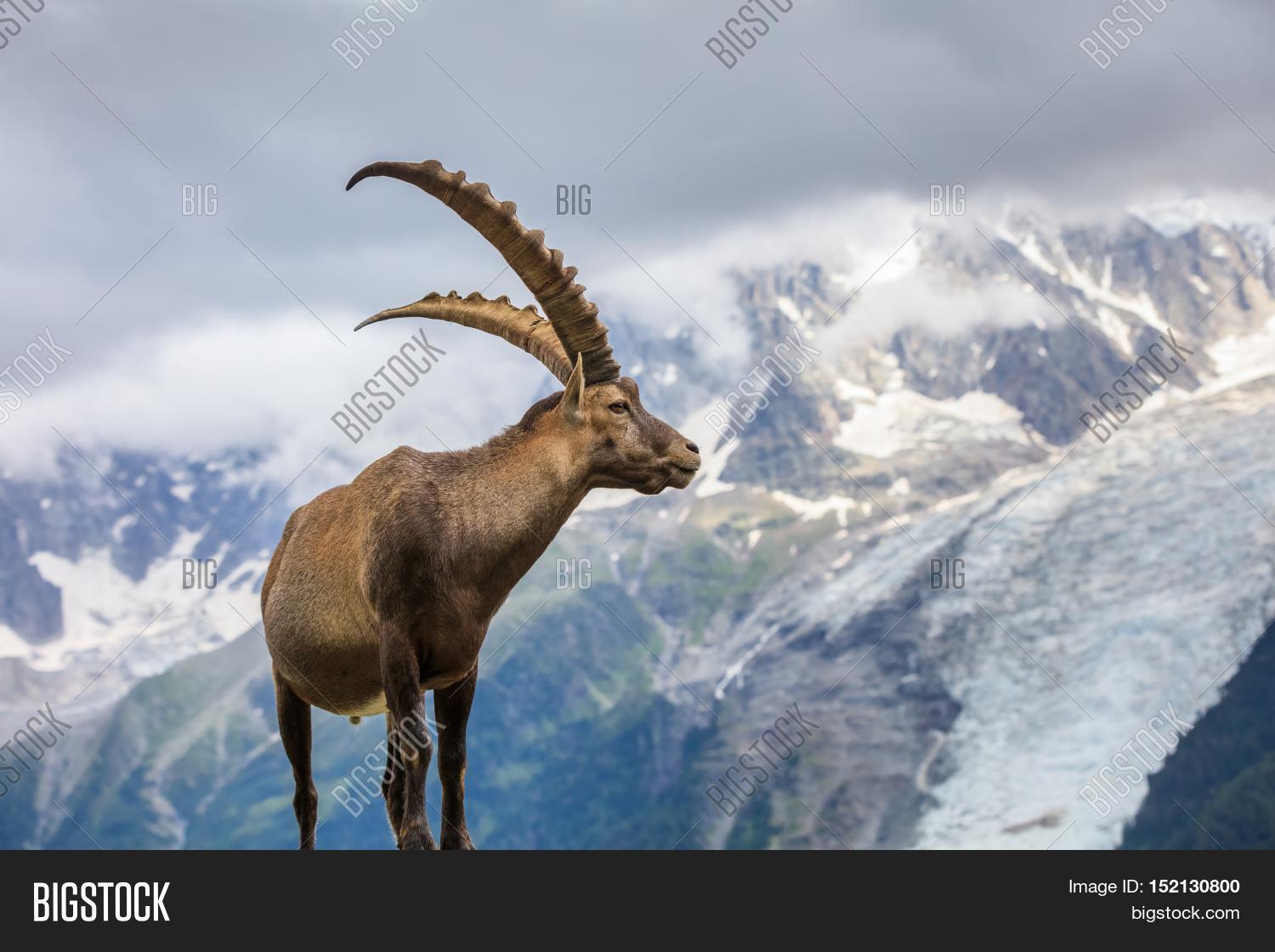 Ibex Range Mont-Blanc Image & Photo (Free Trial) | Bigstock