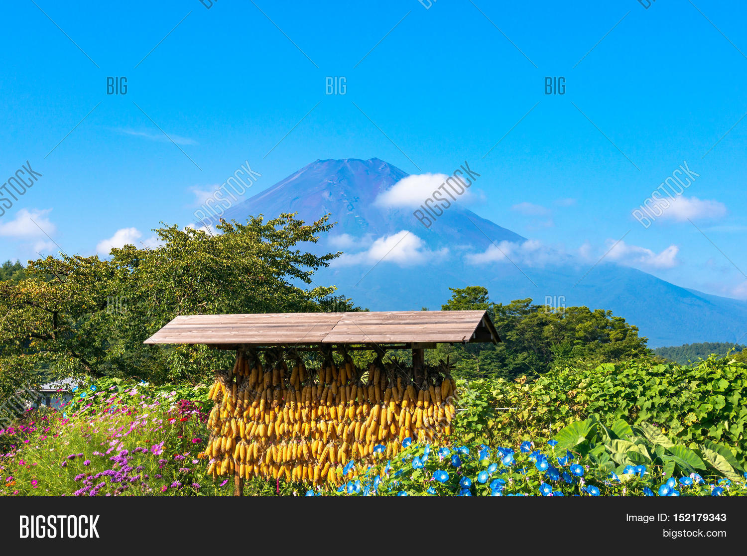 Japanese Rural Image & Photo (Free Trial) | Bigstock
