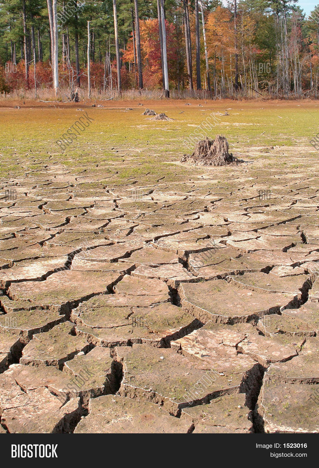 Dried Lake Bed Image & Photo (Free Trial) | Bigstock