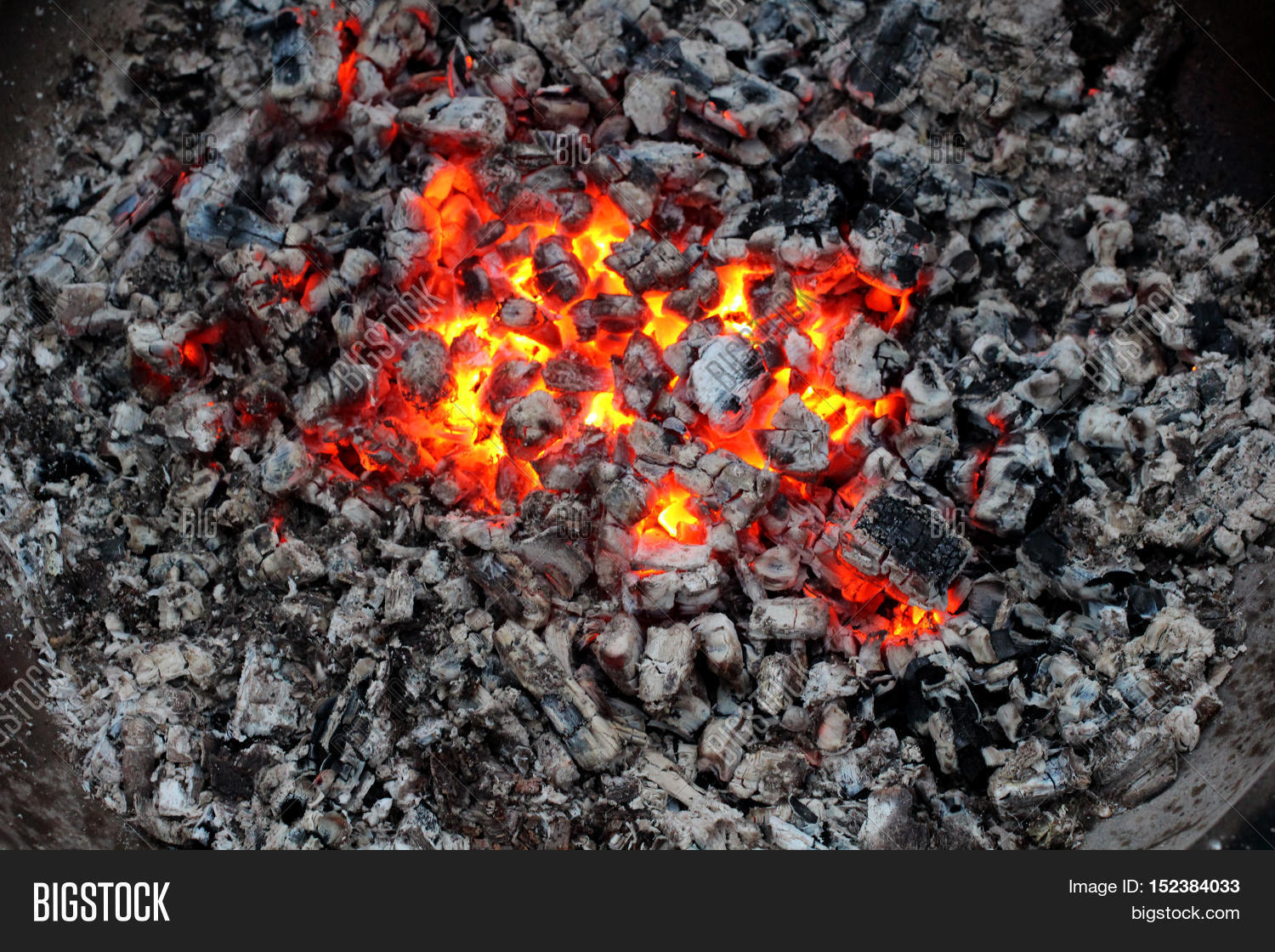 Charred Wood Bright Image & Photo (Free Trial) | Bigstock