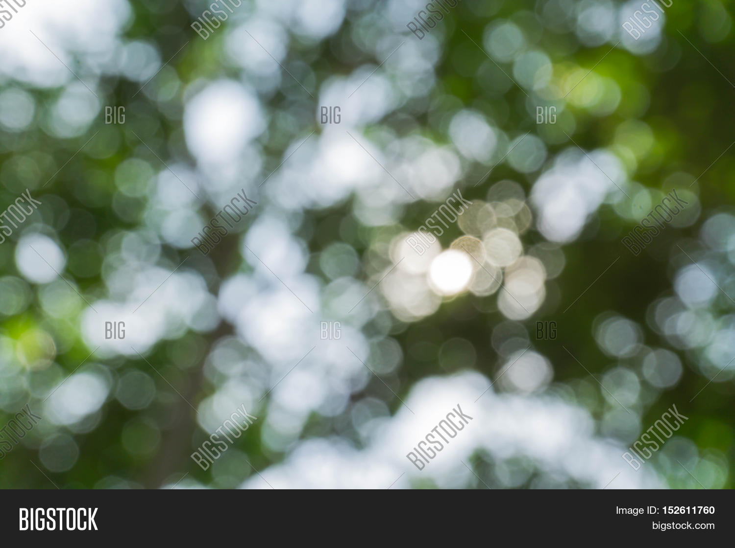 Green Tree / Blurred Image & Photo (Free Trial) | Bigstock