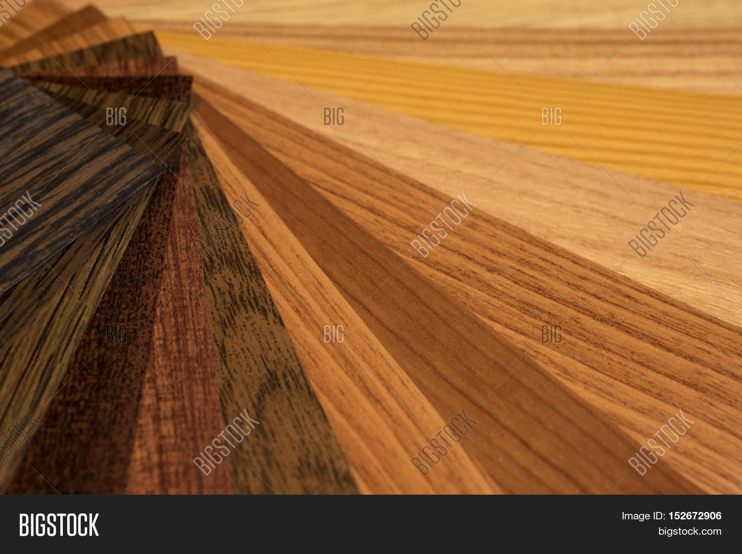Color Palette Wood Image & Photo (Free Trial) | Bigstock