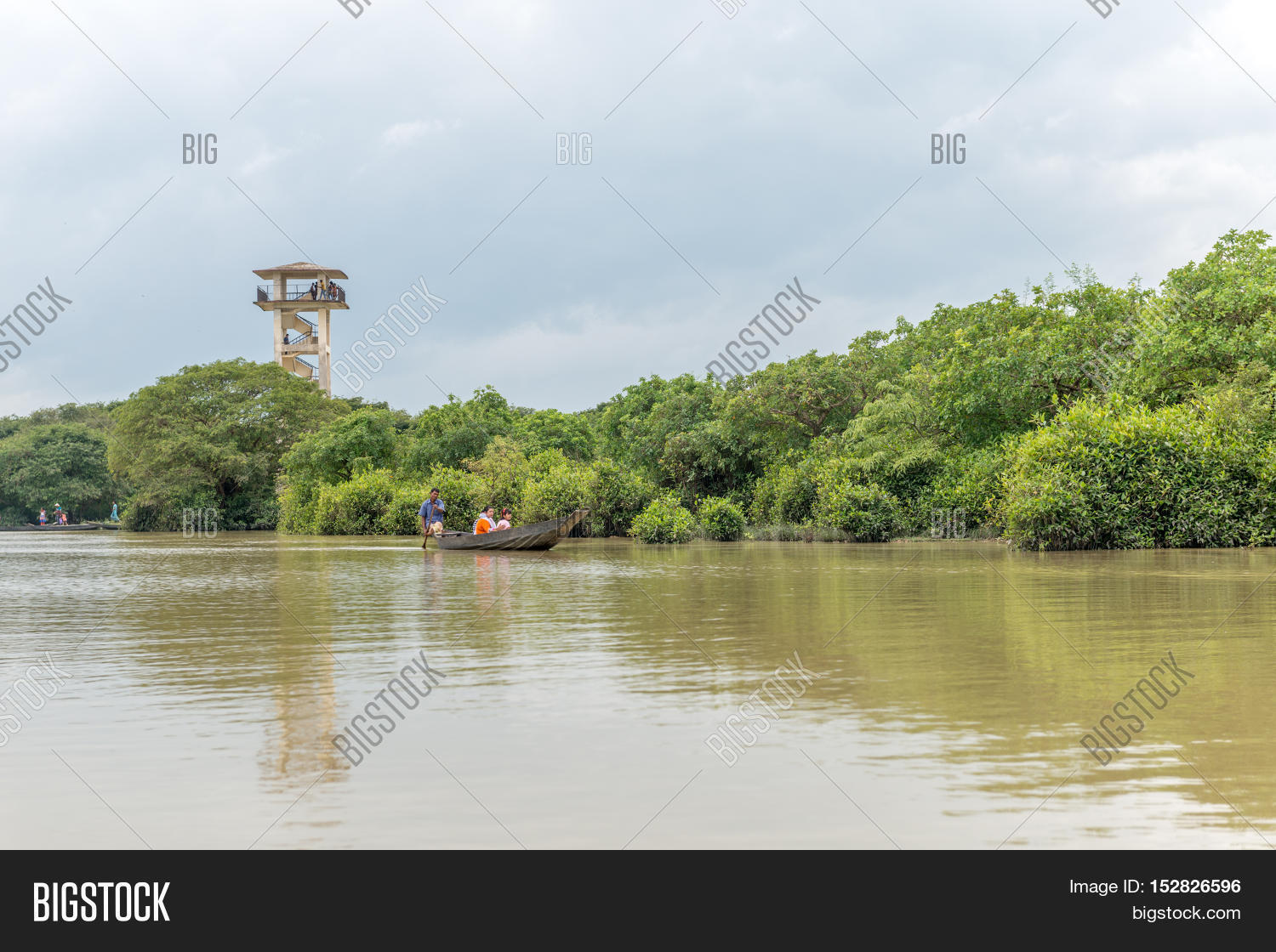 Swamp Forest Ratargul Image & Photo (Free Trial) | Bigstock
