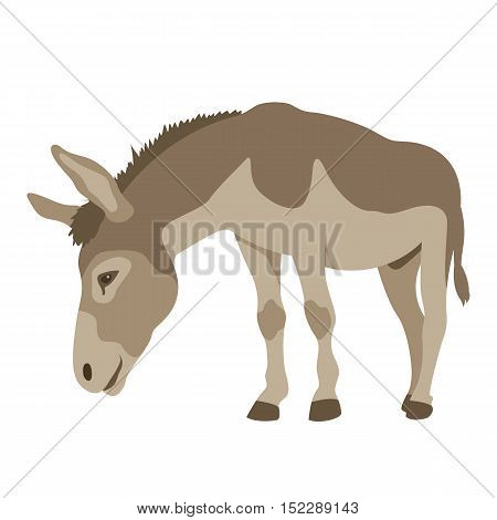 Donkey Vector Vector & Photo (Free Trial) | Bigstock