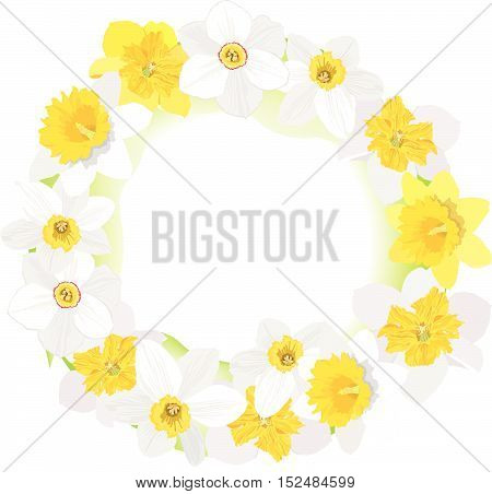 Daffodil Border Images, Illustrations, Vectors - Daffodil Border Stock ...