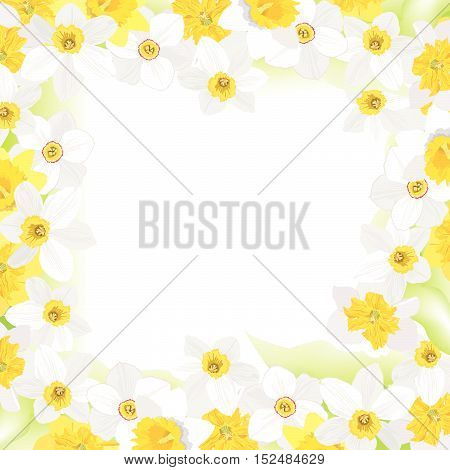Daffodil Border Images, Illustrations, Vectors - Daffodil Border Stock ...