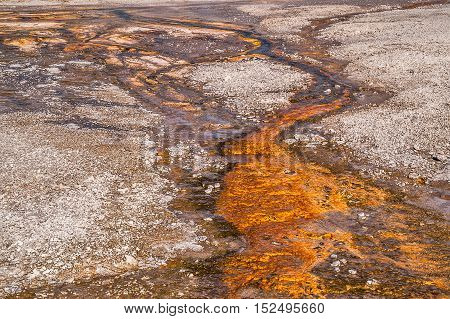 Vibrant Colors Thermal Image & Photo (Free Trial) | Bigstock