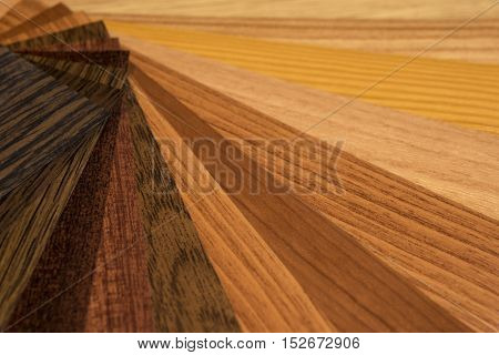 Color Palette Wood Image & Photo (Free Trial) | Bigstock
