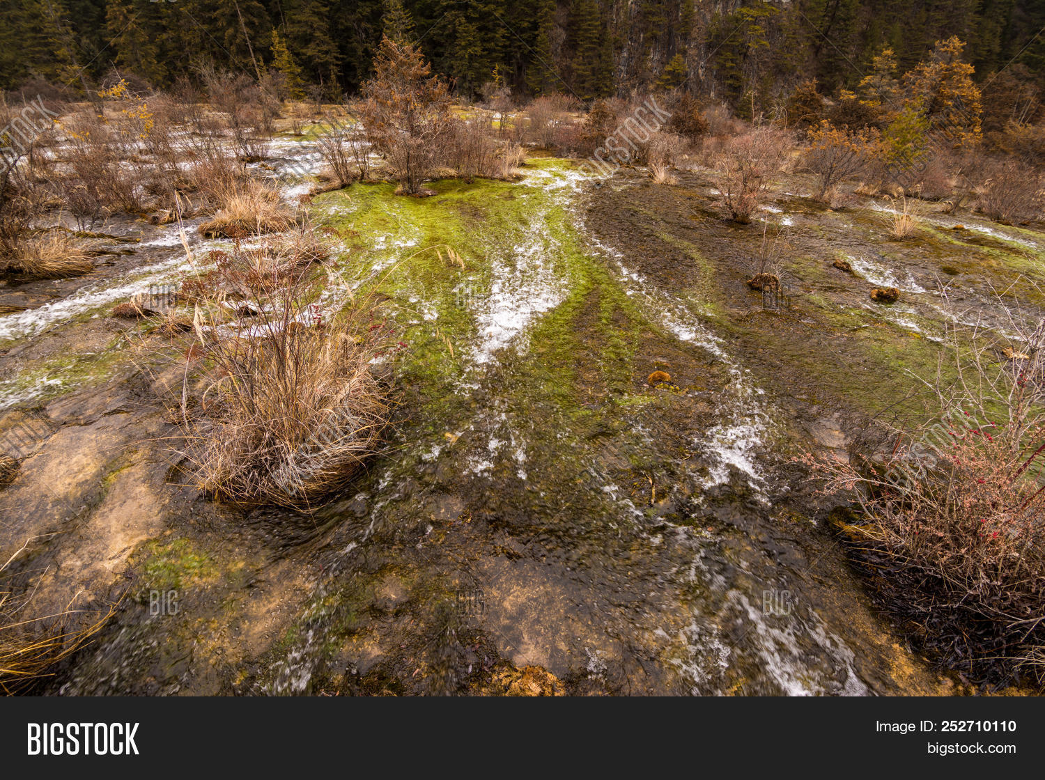 Forest Waterfall Image & Photo (Free Trial) | Bigstock