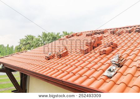 Old Moldy Roof Tile Image & Photo (Free Trial) | Bigstock