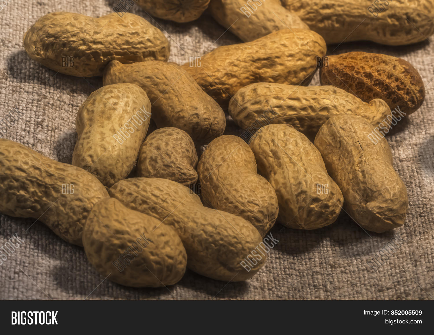 Composition Peanuts Image & Photo (Free Trial) | Bigstock