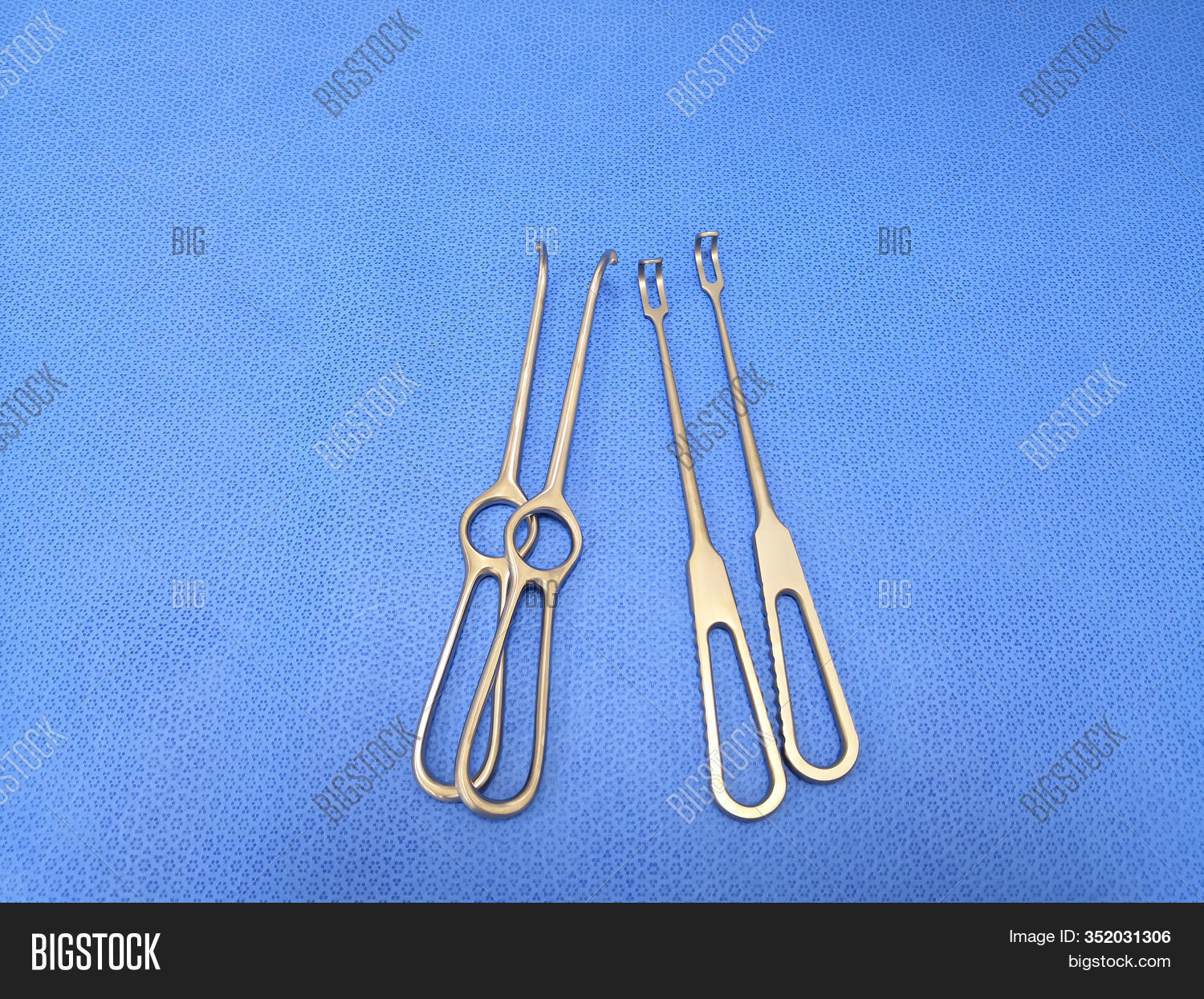 Closeup Image Durham Image & Photo (Free Trial) | Bigstock