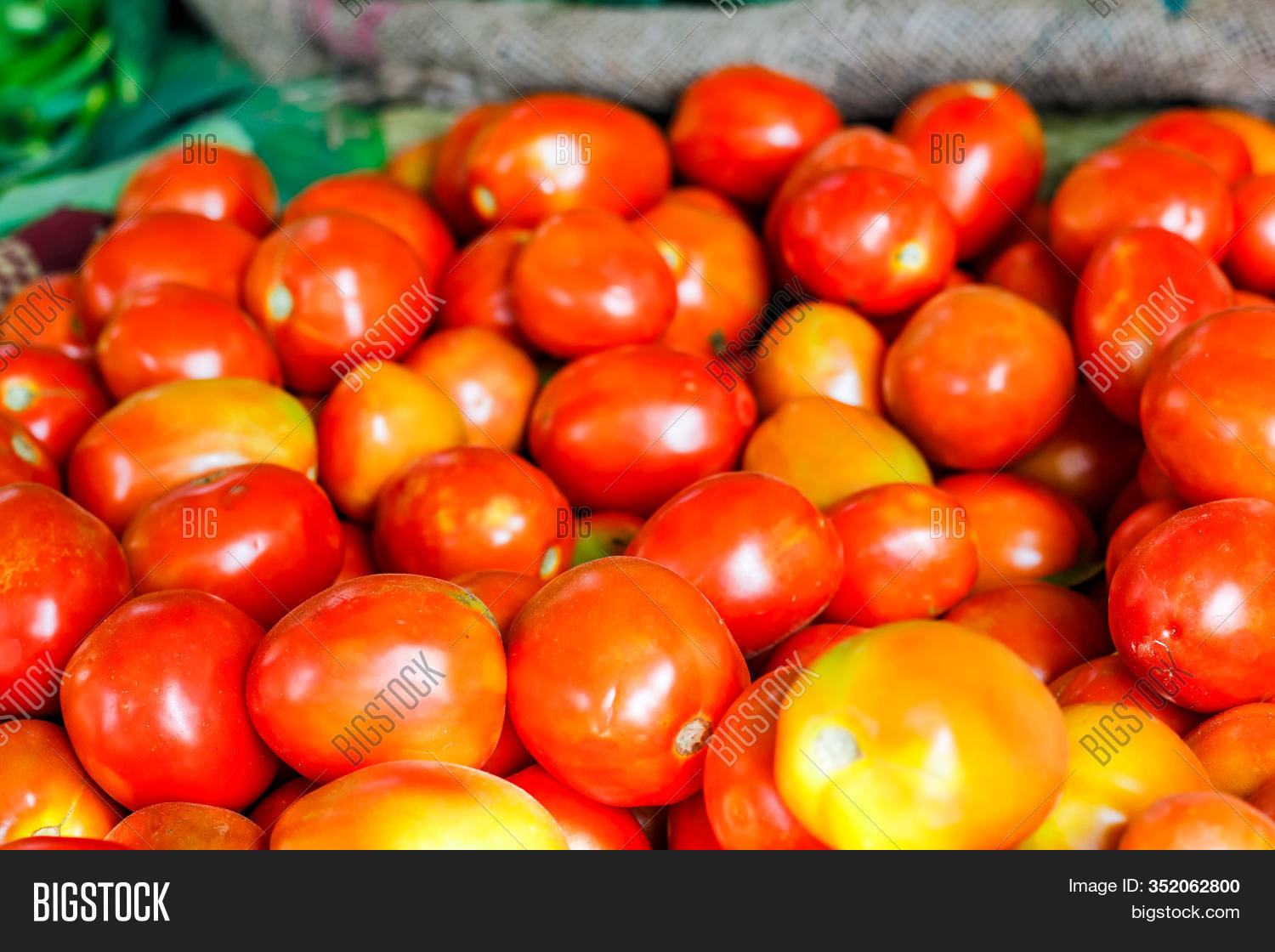 Fresh Red Tomato Bunch Image & Photo (Free Trial) | Bigstock