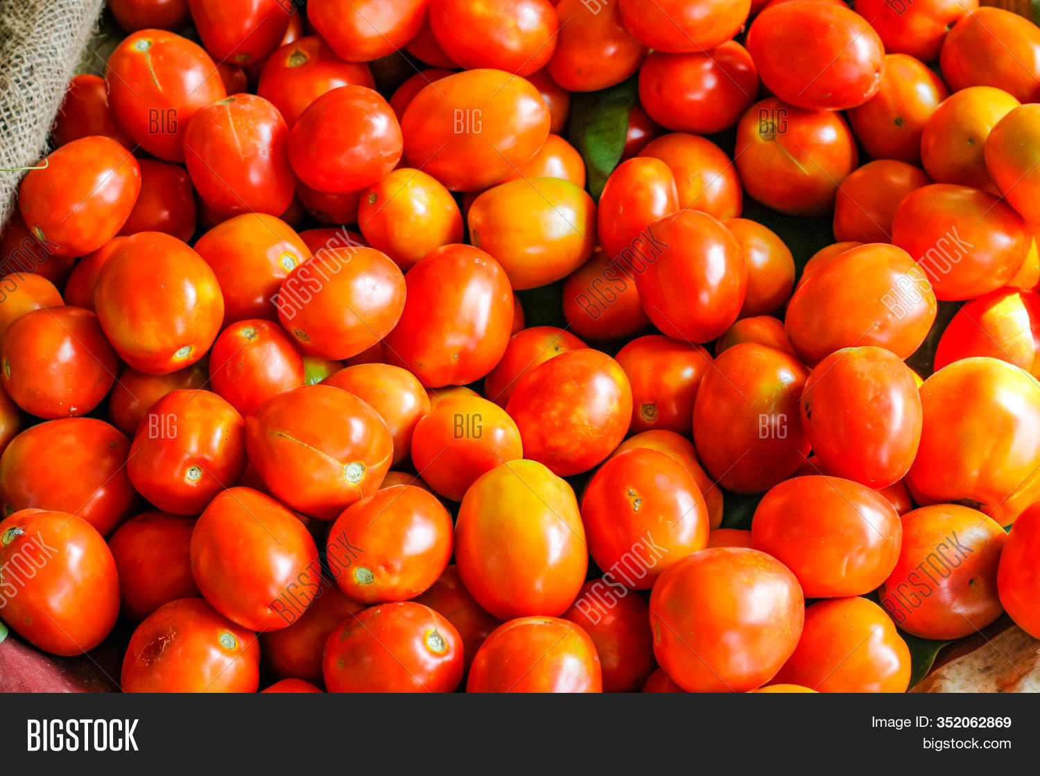 Fresh Red Tomato Bunch Image & Photo (Free Trial) | Bigstock