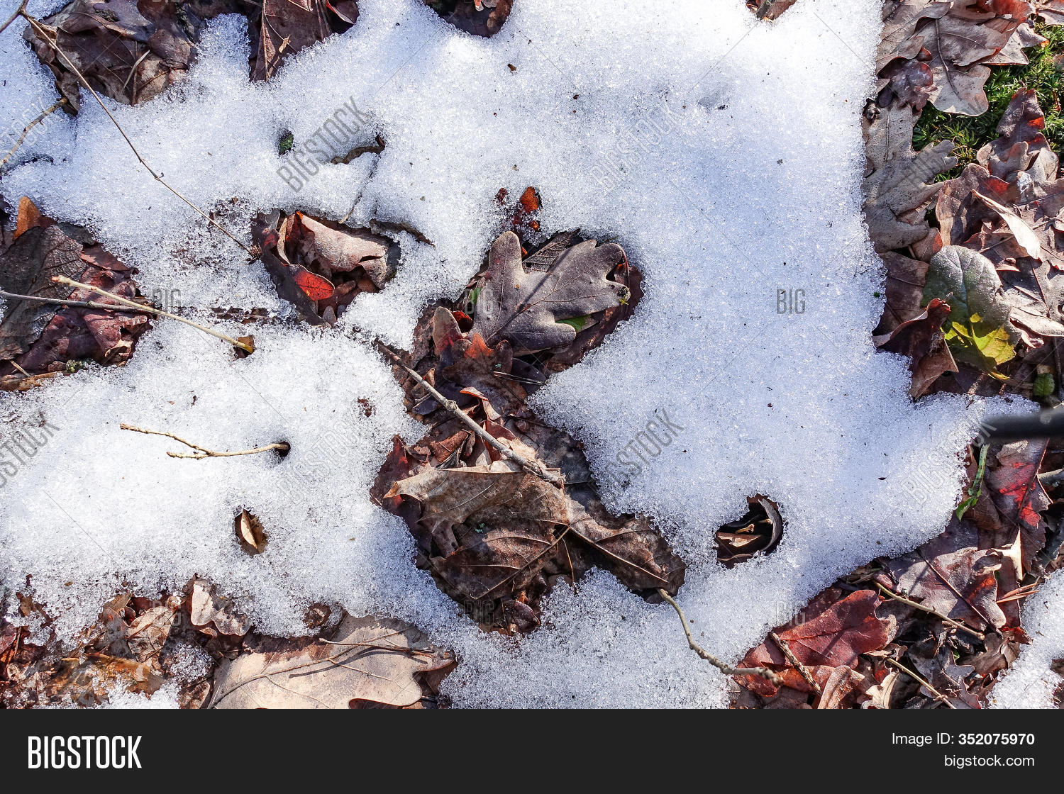 Concept Spring. Snow Image & Photo (Free Trial) | Bigstock