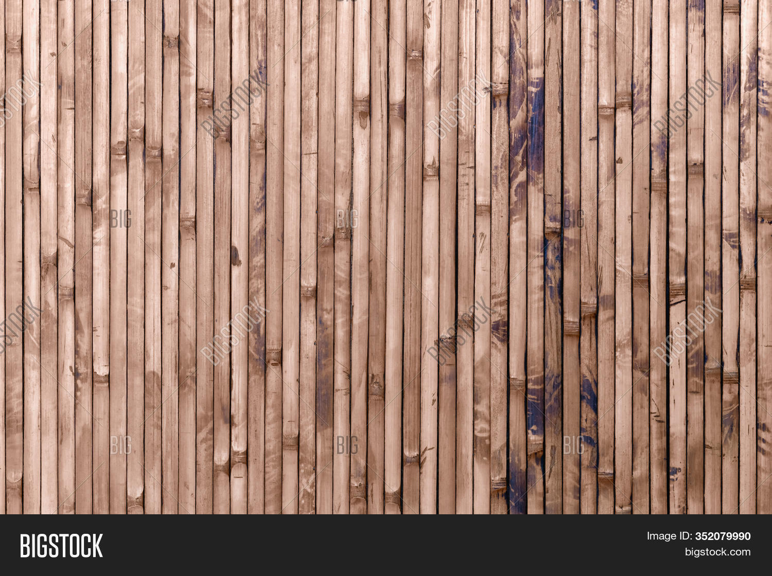 Bamboo Wood Panel. Image & Photo (Free Trial) | Bigstock