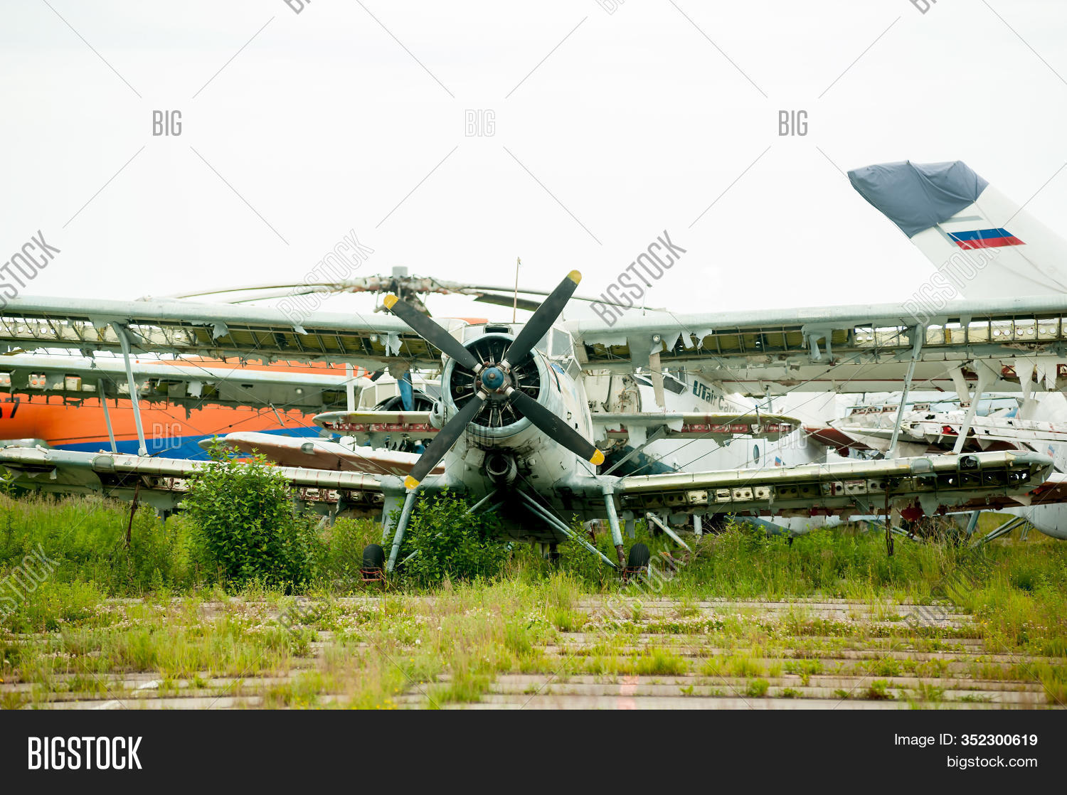 Airplane Wreck Old Image & Photo (Free Trial) | Bigstock