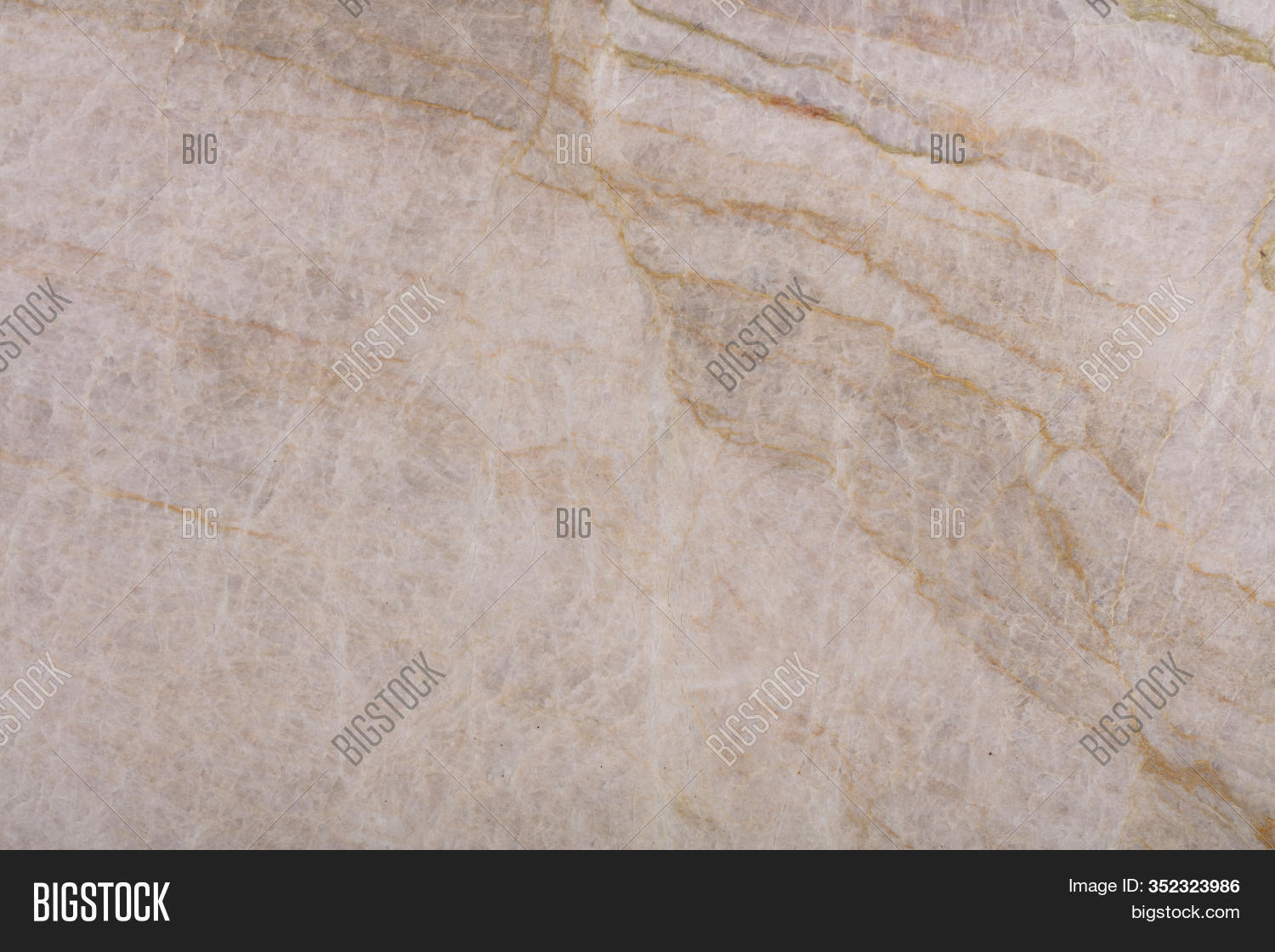 Elegant Quartzite Image & Photo (Free Trial) | Bigstock