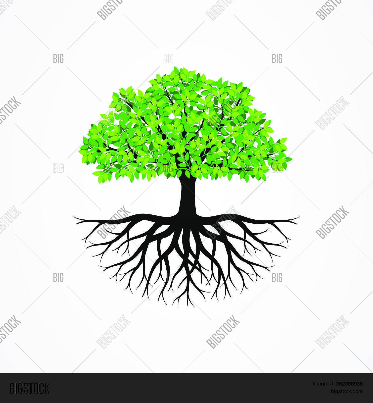 Tree Roots Drawing Vector