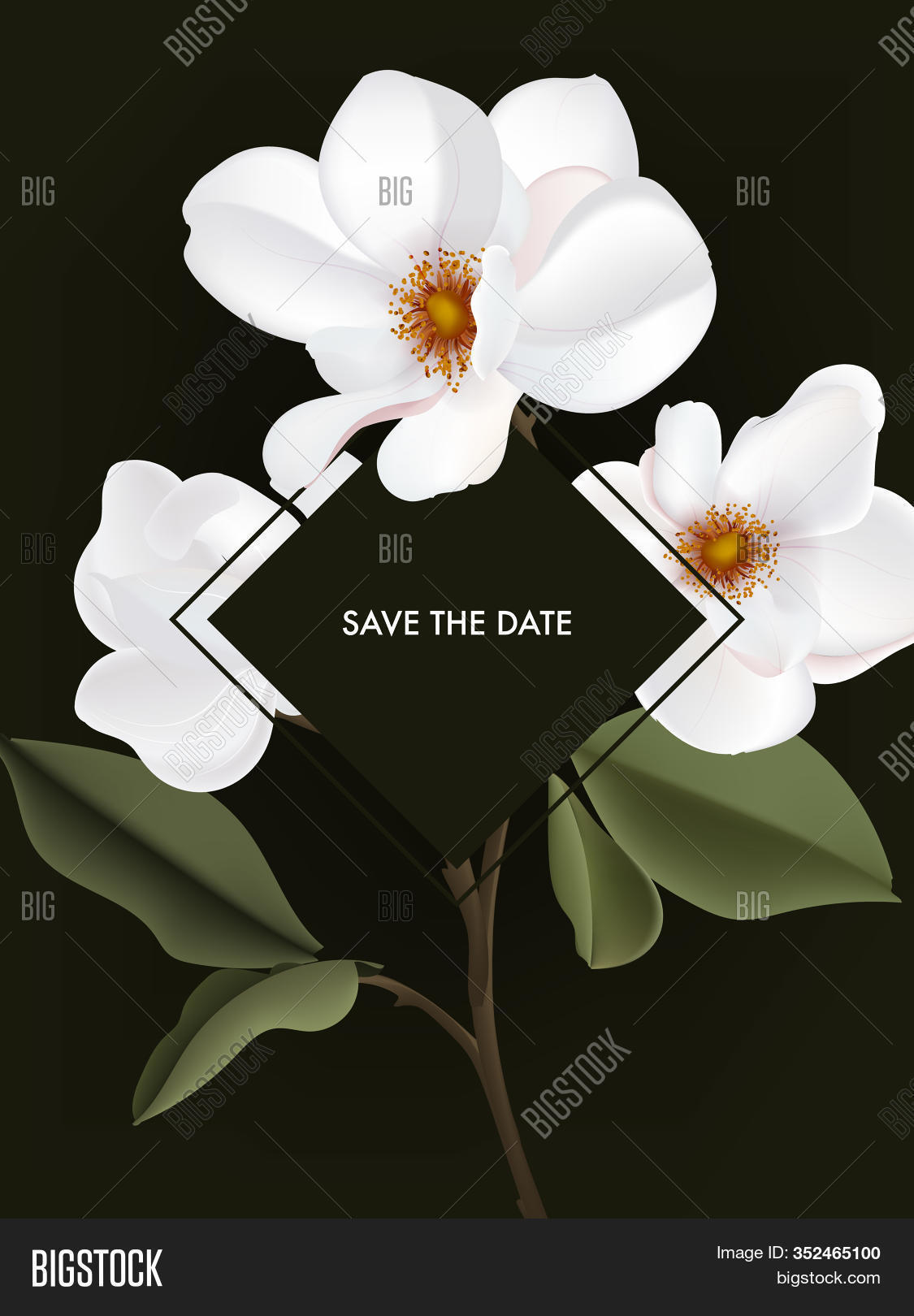 Greenery Magnolia Image & Photo (Free Trial) | Bigstock