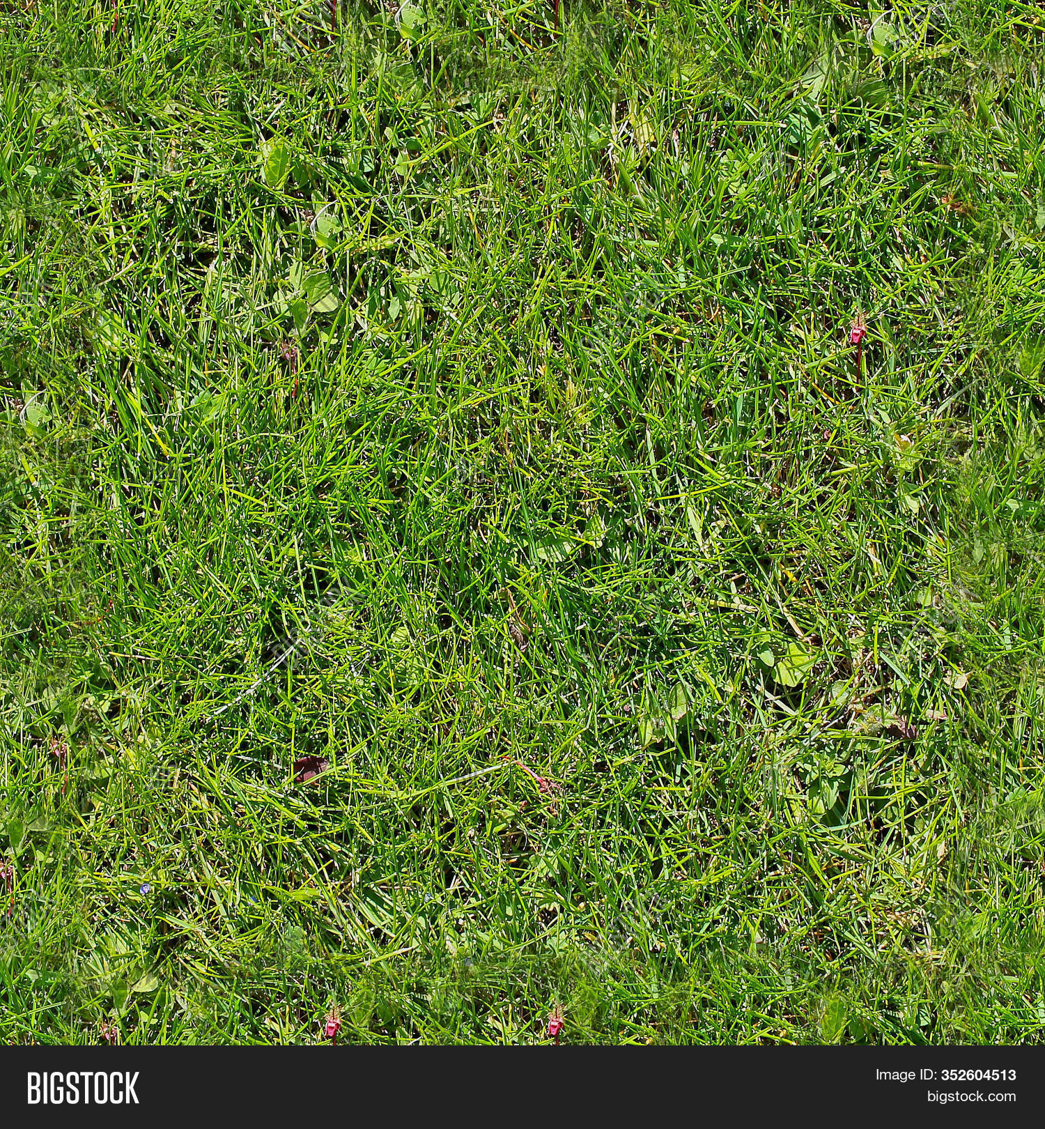 Photo Realistic Image & Photo (Free Trial) | Bigstock