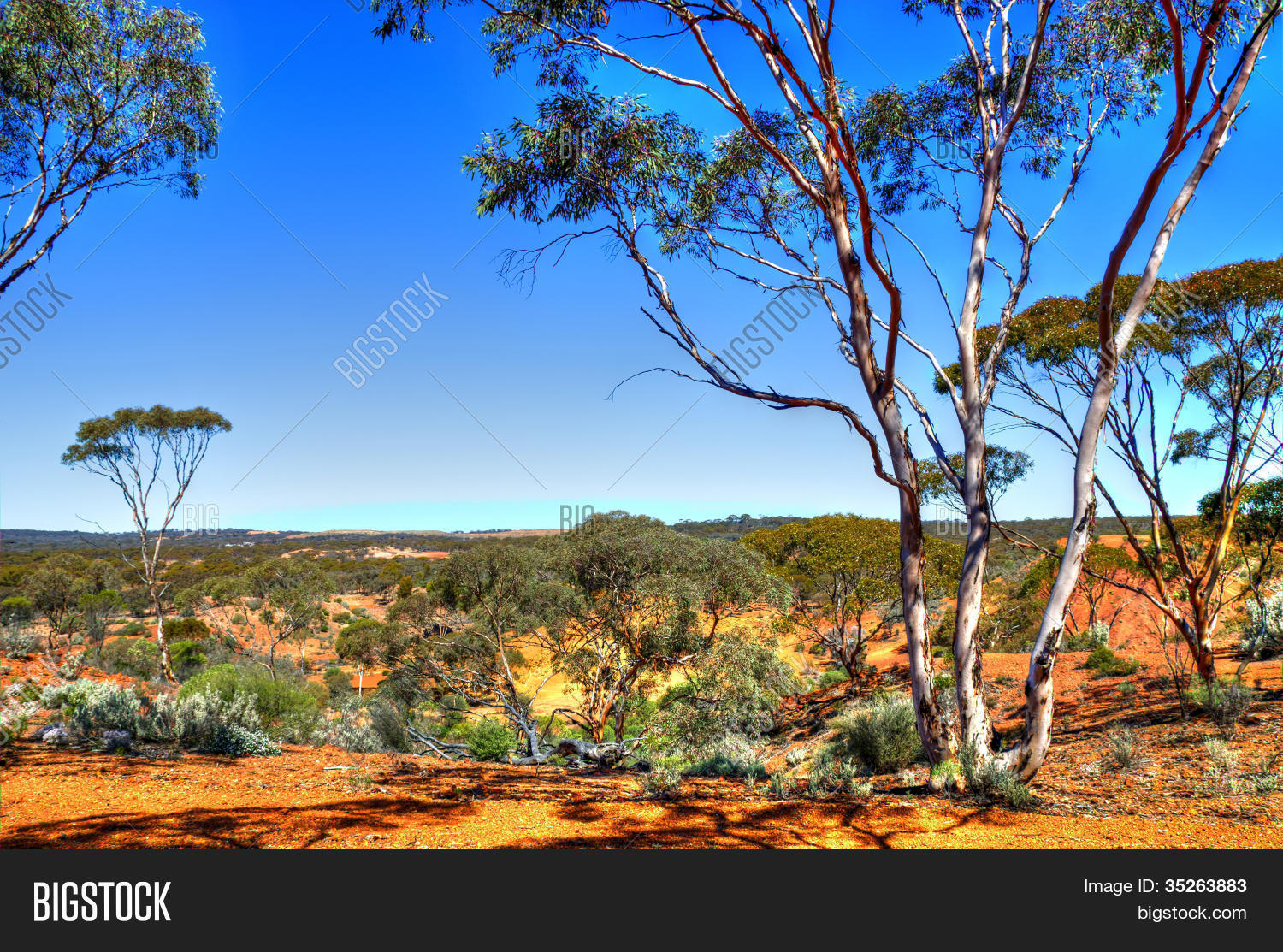 Kalgoorlie Landscape Image & Photo (Free Trial) | Bigstock