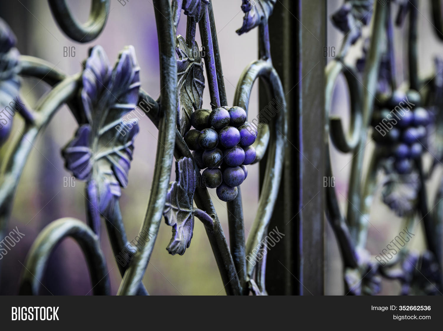Forged Bunch Grapes. Image & Photo (Free Trial) | Bigstock